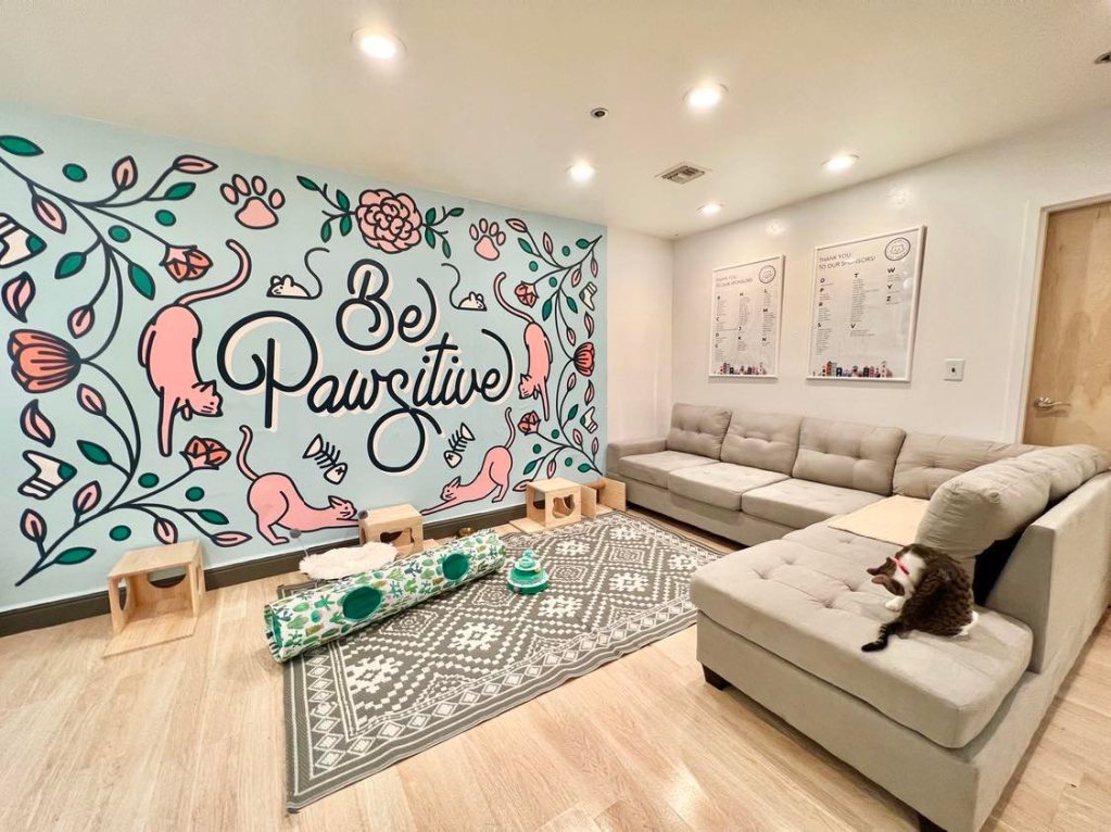 Kitten Lounge & Adoption Center at Santa Rosa Plaza – Mini Cat Town